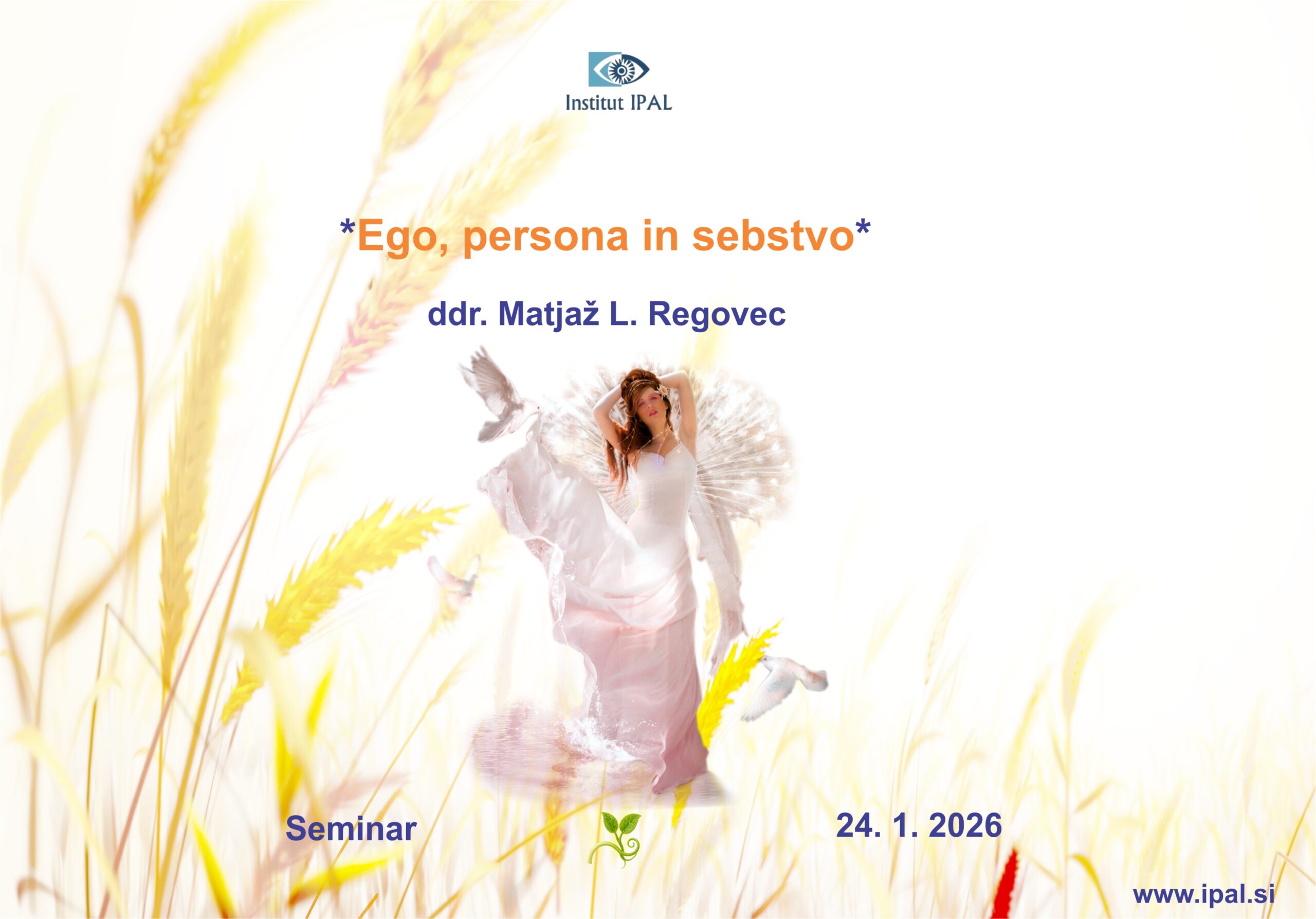 EGO, PERSONA IN SEBSTVO | Institut IPAL